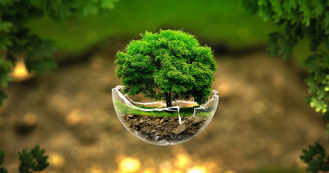 Awesomeness Of Nature with Natural Things | Neckel