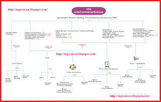 CAREER iNFO: After +2 Career Chart