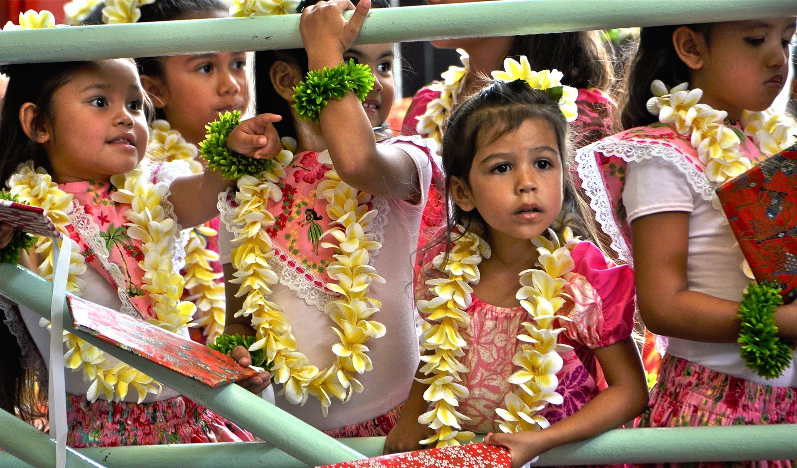 The Dragon's Eye: Kakaako Days-Halau Hula O Hokulani