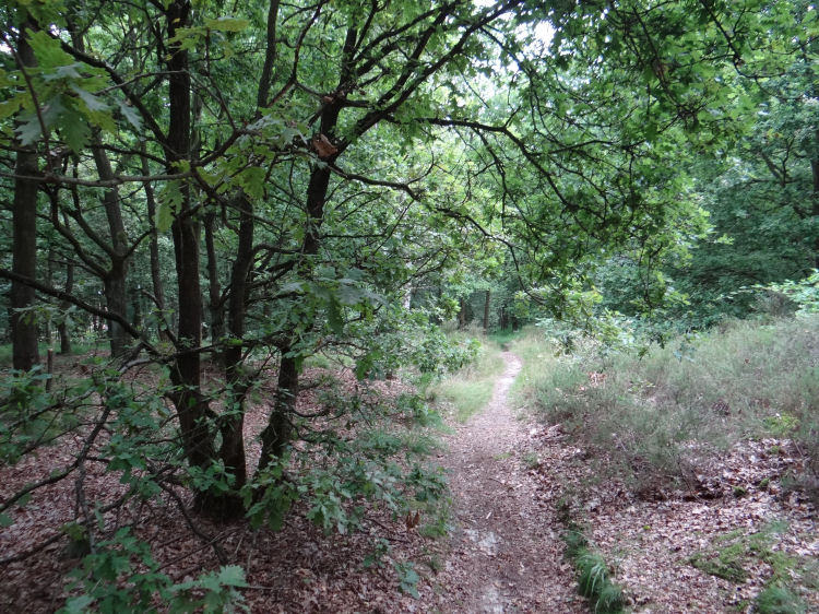 The Travel Fairy: Beerzelberg 4