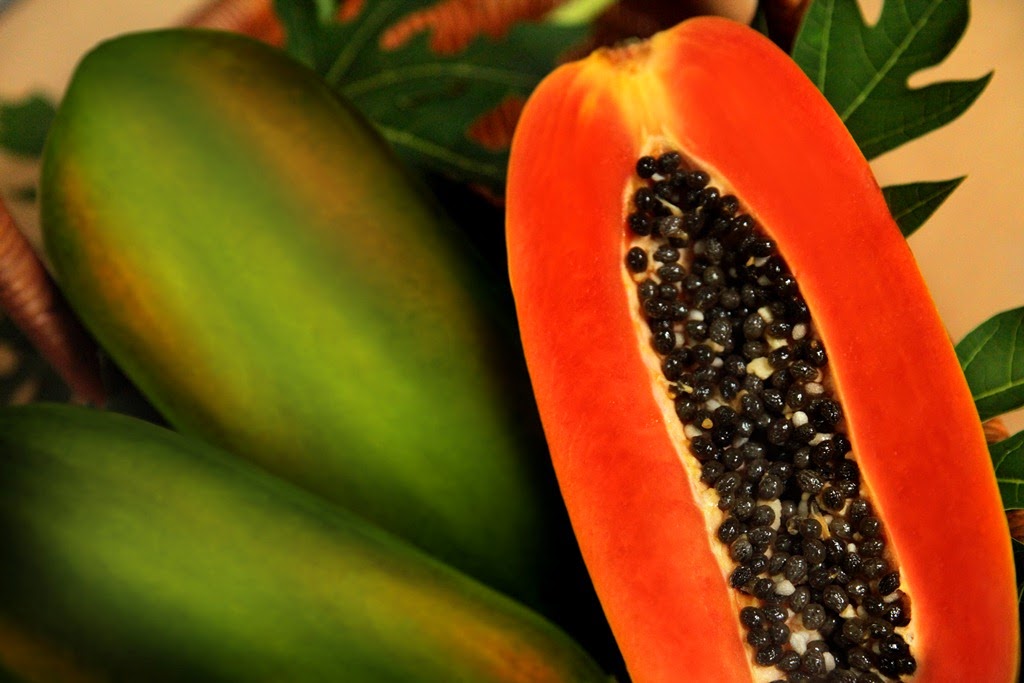 Beragam Manfaat Pepaya (Carica Papaya) ~ Makanan Enak Semarang