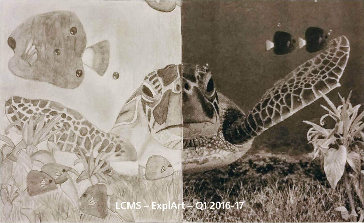 Lewis & Clark Exploratory Art