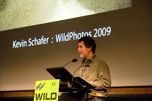 ArrestedMotion.net: Kevin Schafer