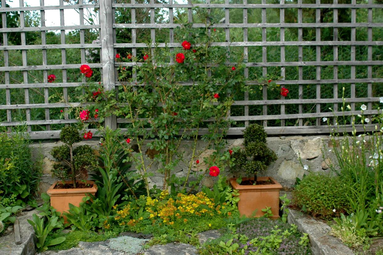 Roche Fleurie Garden: The Best Canadian Rose Breeder