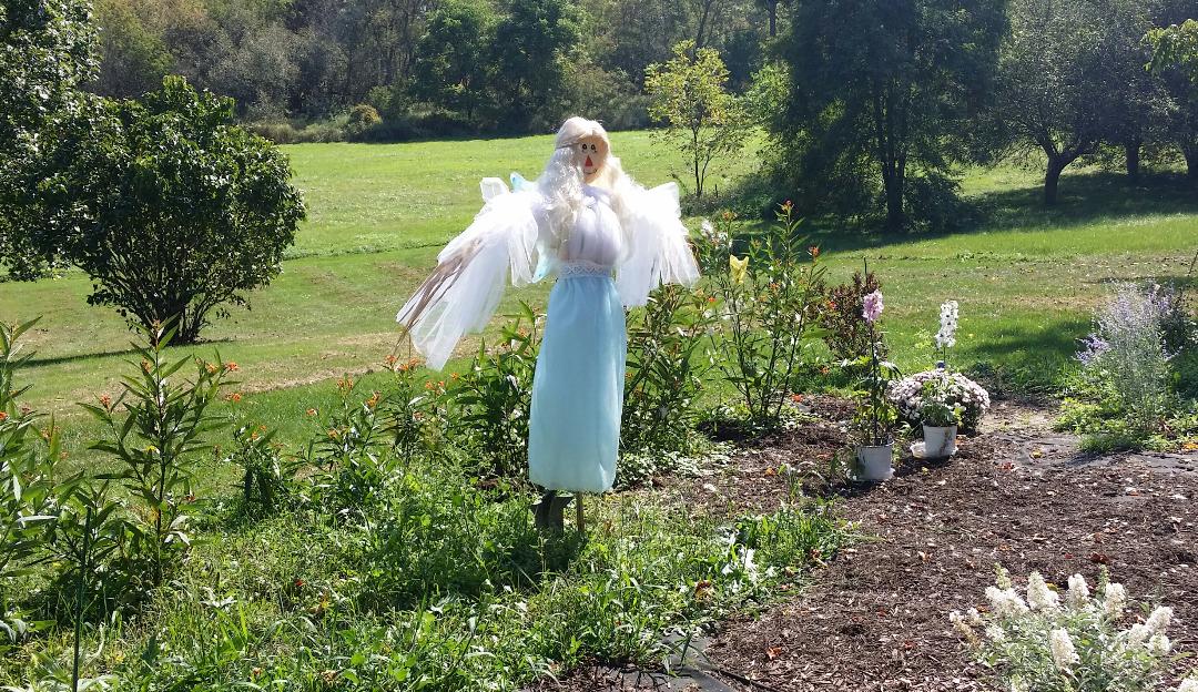 StudioEmmy: My Garden Angel Needs a Name