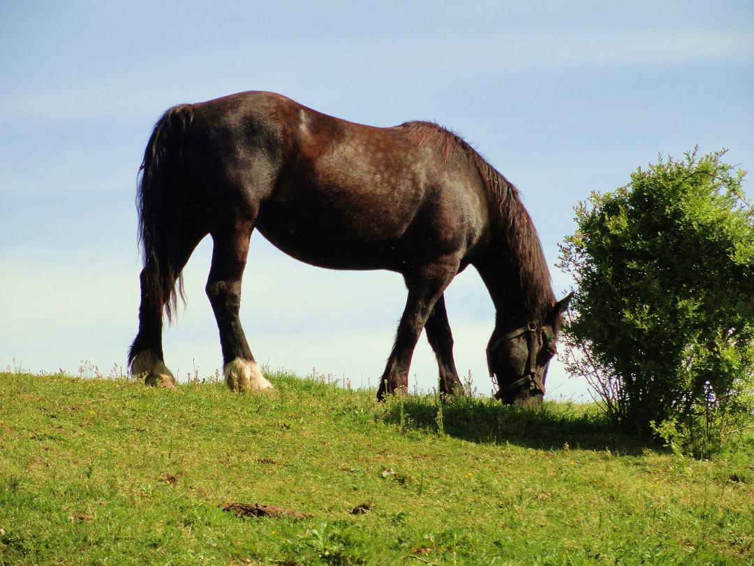 Angelia's Art Journals: Weekend Journal and Monday Musings