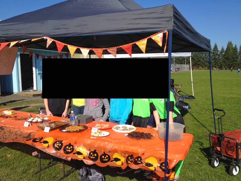 Trillium Design: 2013