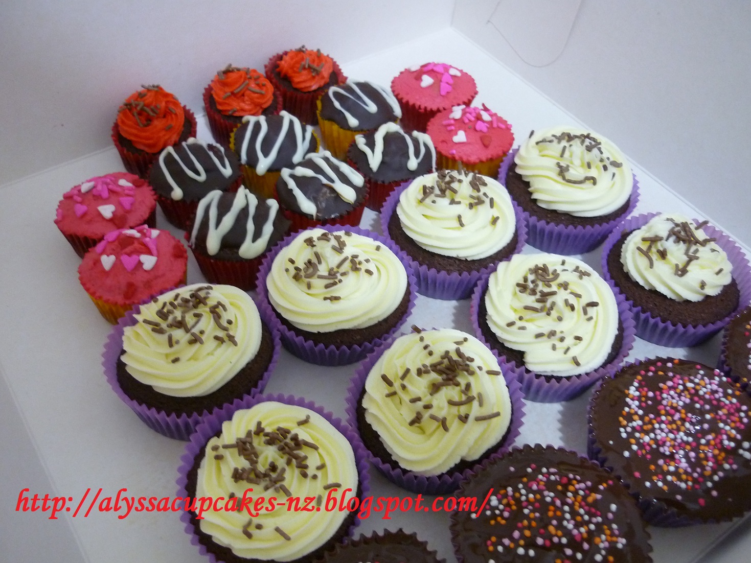 Halal Cupcakes @ Hamilton,NZ