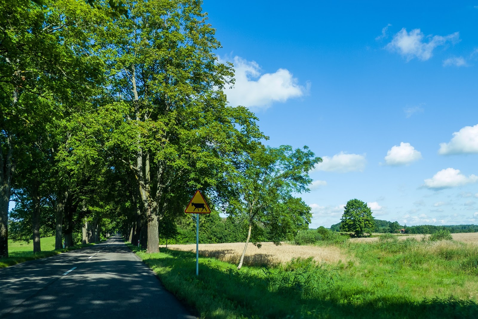 Exploring Poland, Part 1: Warmia, Mazuria and Białystok Region | aesthastic