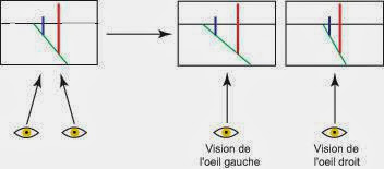 L'évolution de l'image, TPE sur la 3D: La vision binoculaire