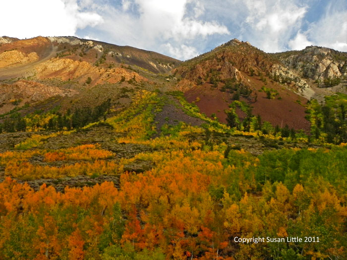 The Camping Queen: Eastern Sierra Nevada Fall Colors