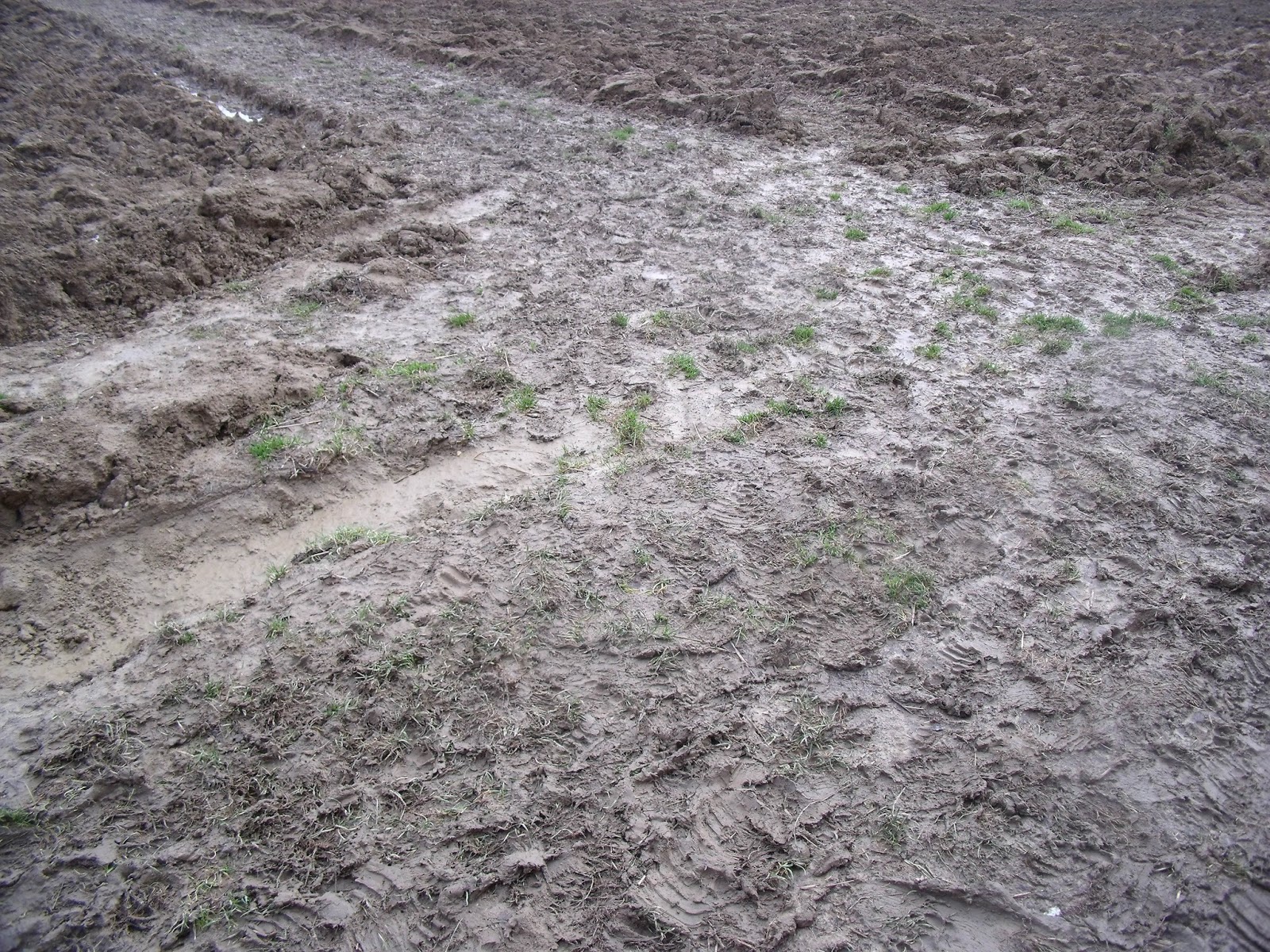 After60 -thenext10 Part 2: 70 and onwards: Mud, glorious mud