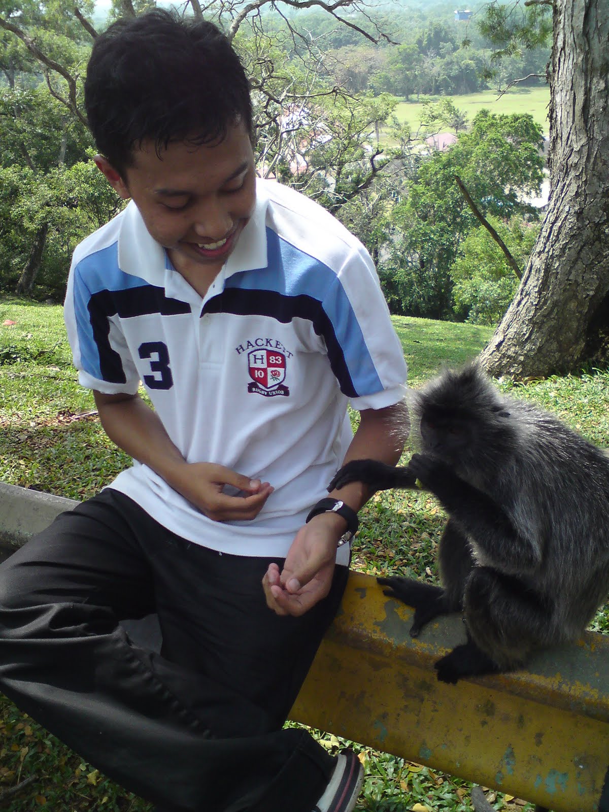 i love animals: A MONKEY LOOK JUST LIKE HUMAN