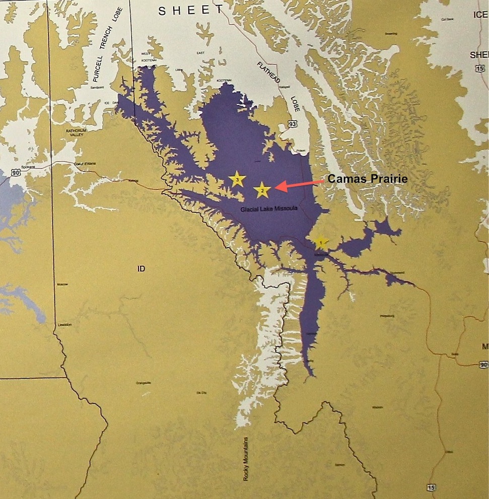 In the Company of Plants and Rocks: September 2013