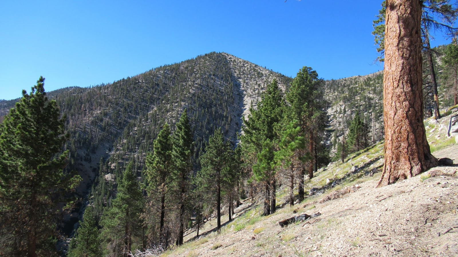 Iron Hiker: Ten Thousand Foot Ridge and Lake Peak