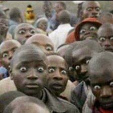 All the Funny Ones ! : 20 Things to Stare At