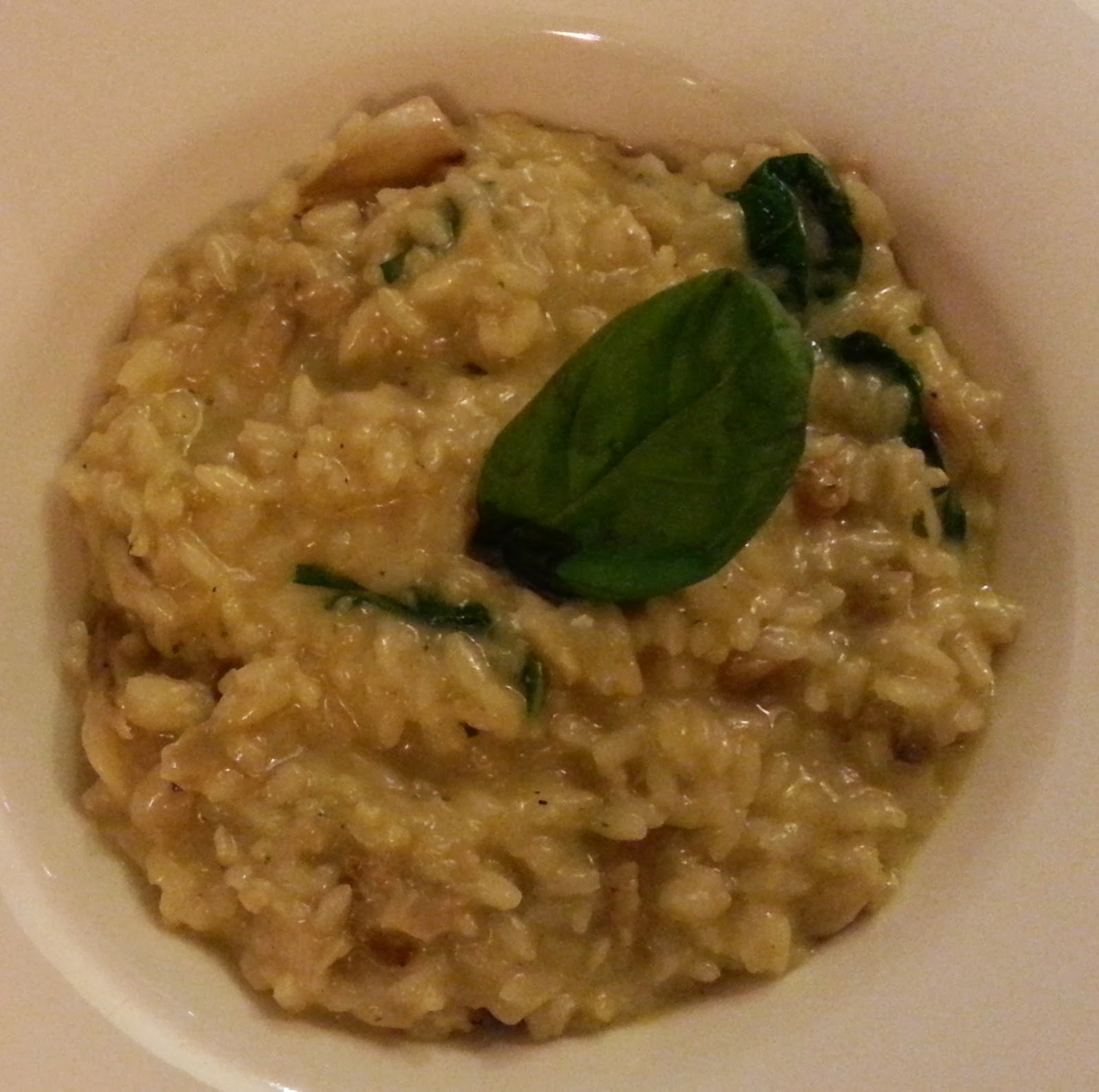 Turin Epicurean Capital: Piedmont rice paddies