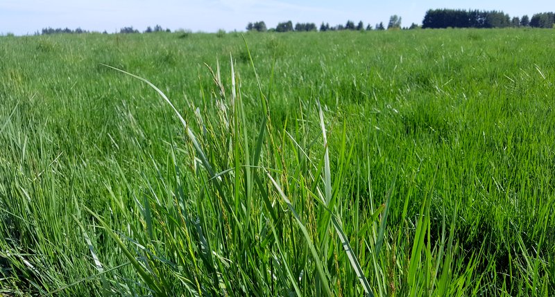 Wandering His Wonders: Exploring the Back Roads of Oregon's Willamette ...