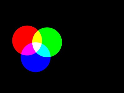 VISTO DAL basso : SOCIETA' Bianchi, neri, down: Pisa, Conegliano, Roma ...