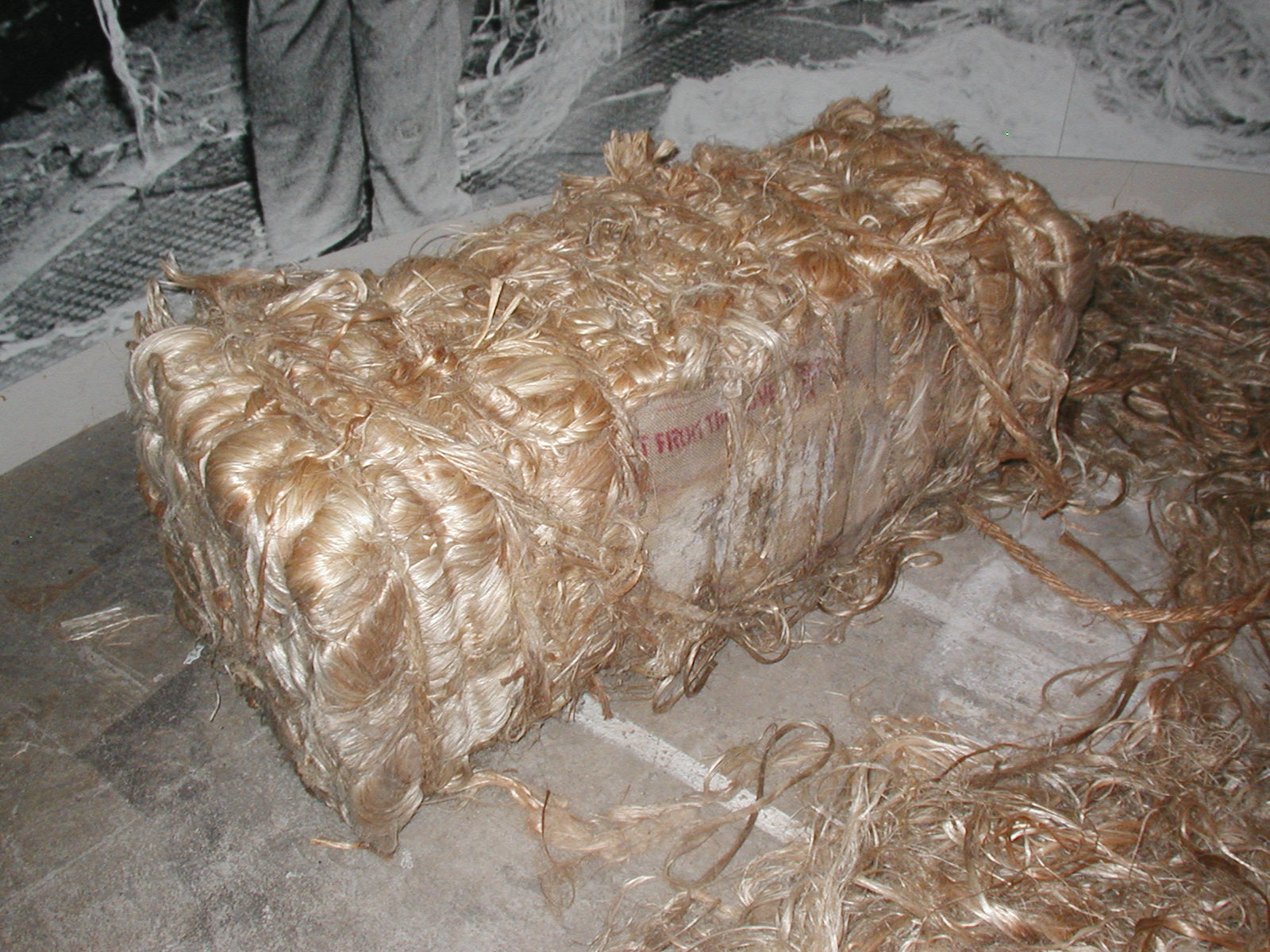 Singing Weaver: Day 5 Dundee, Aberdeenshire