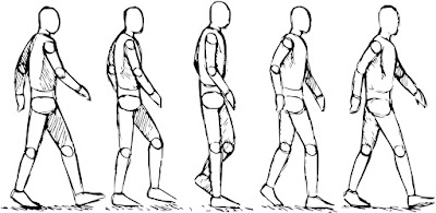 The Helpful Art Teacher: Cartooning and Animation 101: The walk cycle