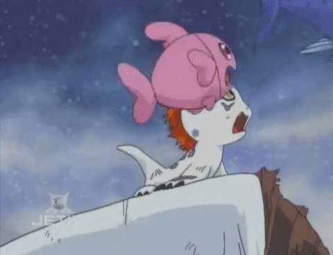 Digi-Arquivo: Gomamon ~ PMD || Acervo de Imagens de Digimon e Pokémon ...