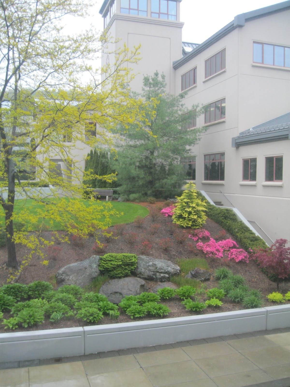 The Siple Family: Patterson Bethel