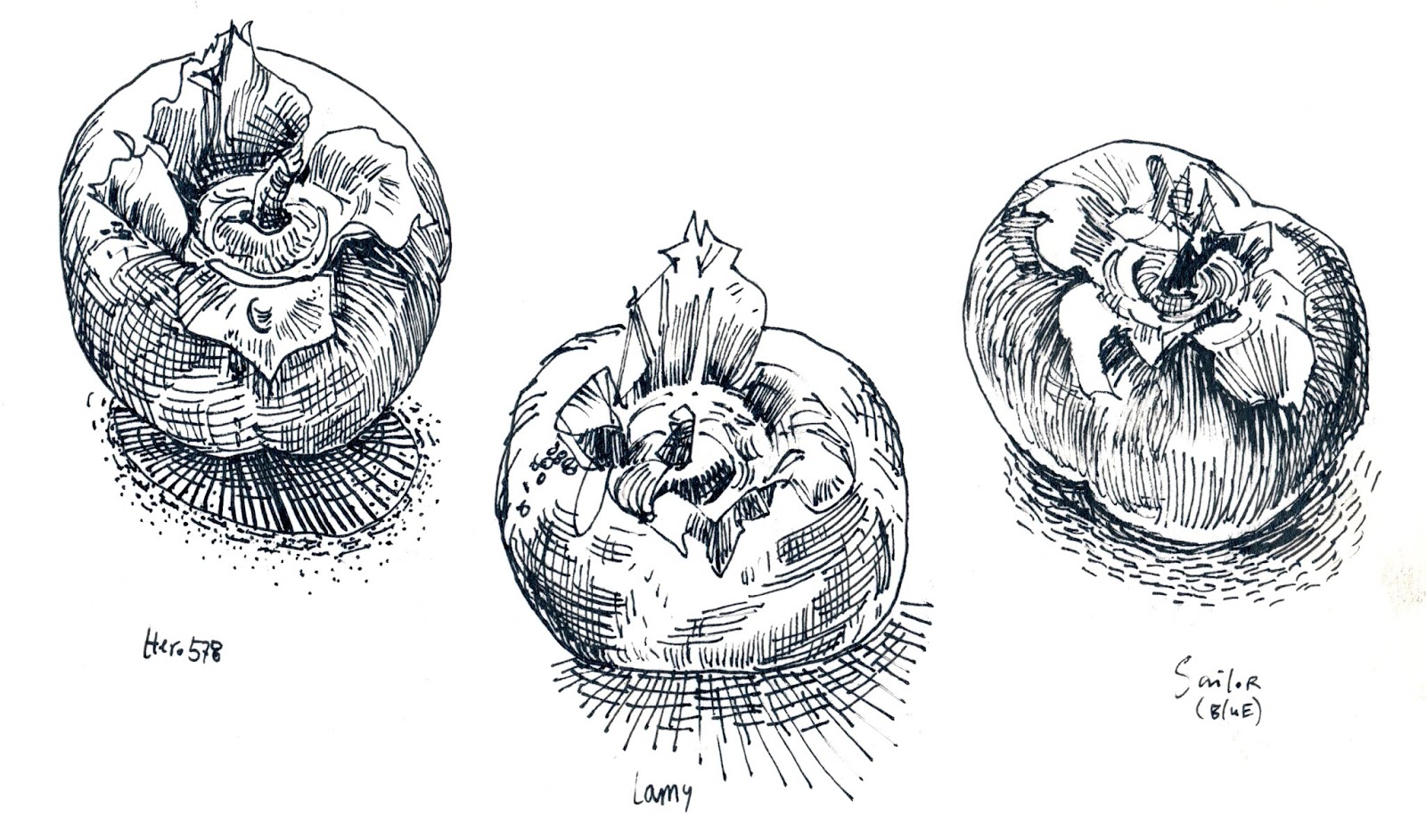 Apple-Pine: I love persimmons :)