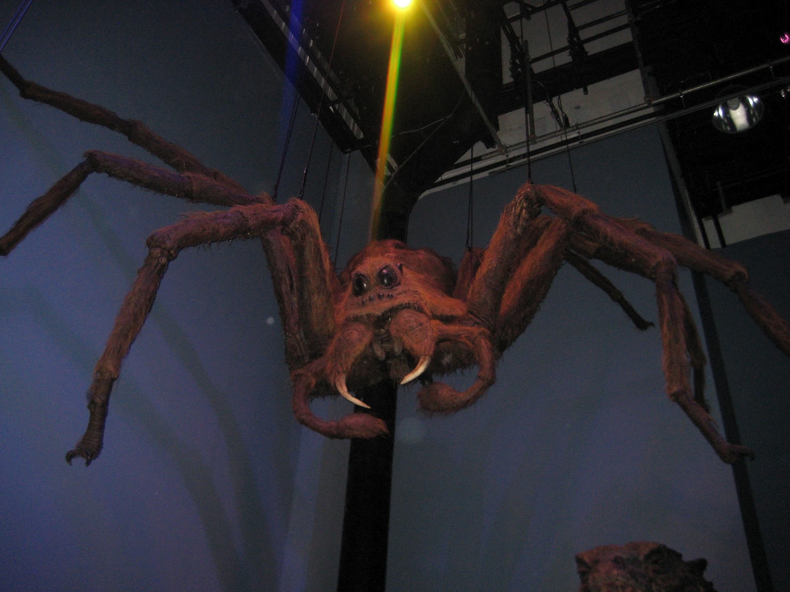 A tout a l'heure, America!: A Day in the Wizarding World