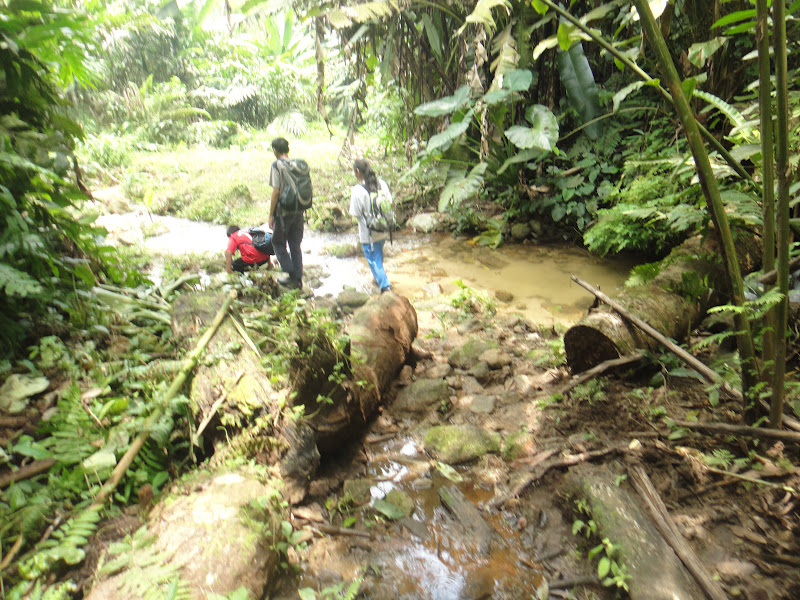 Taking the path less travelled ...: XPDC Rafflesia at Ulu Geroh, Gopeng ...