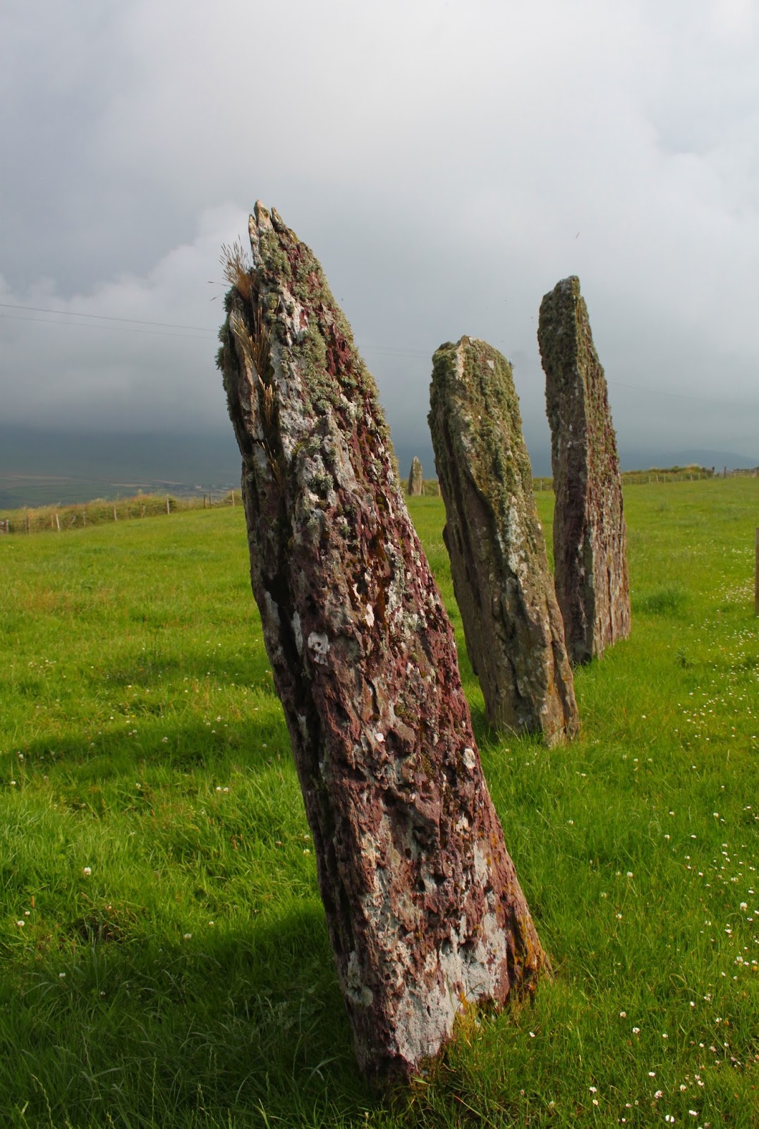 Historic Sites of Ireland: Ardamore Stone Alignment & Standing Stone