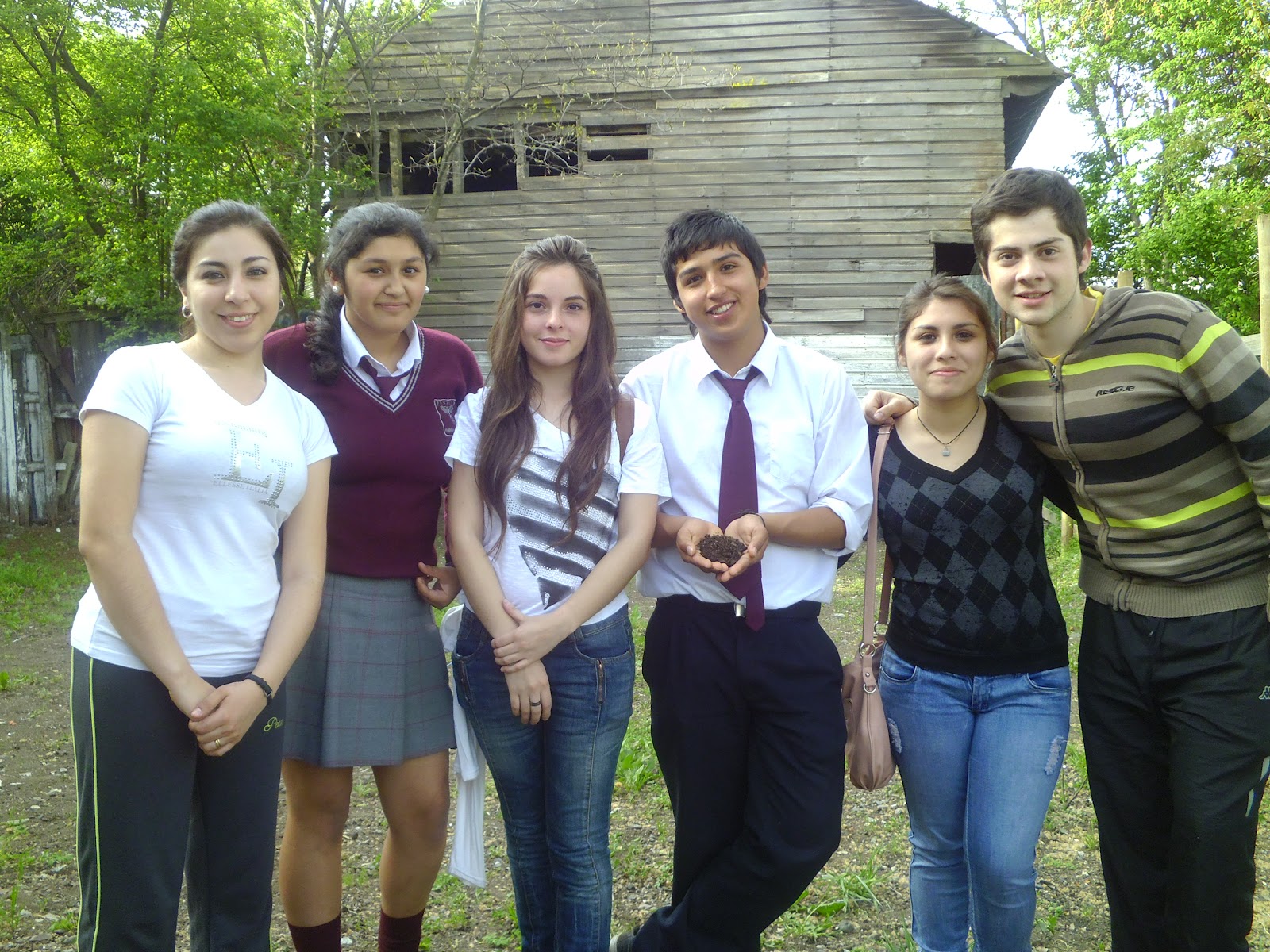 P.I.E.N.S.A. INSUCO