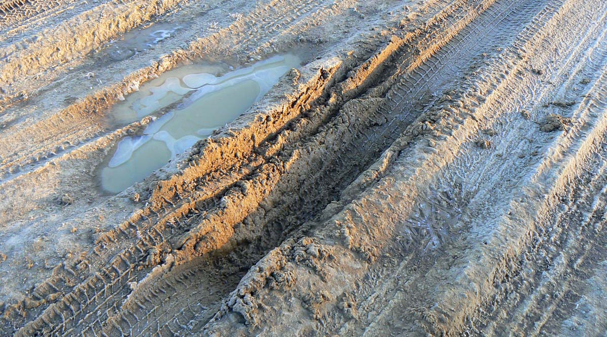 wcs: Frozen ruts and market day