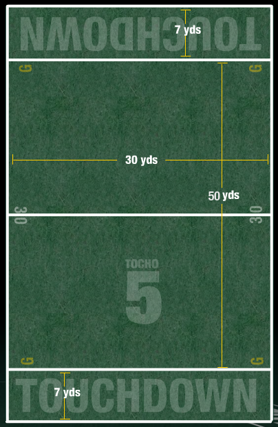 Aspectos Básico del Tochito Bandera ~ TochoMx