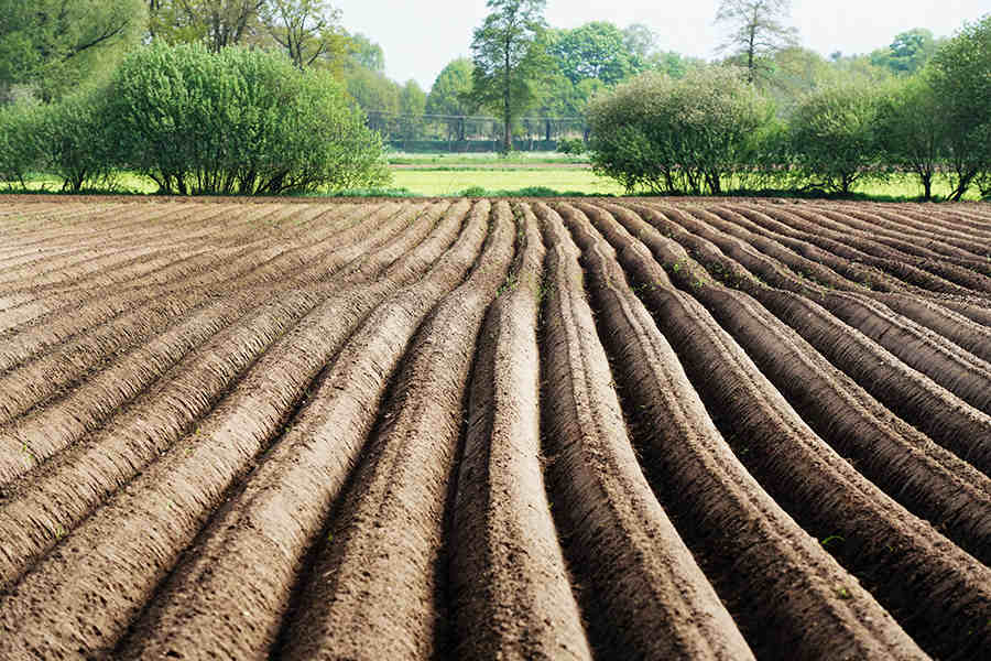 meintaginbildern: Acker, gekämmt