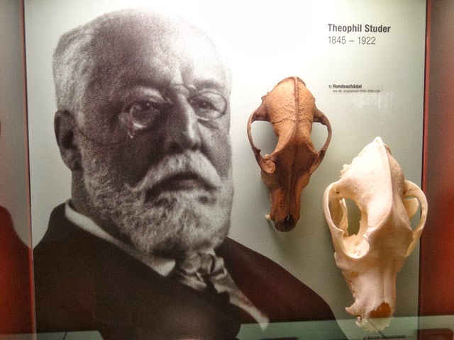 Jacques Huber and the Amazonian Botany: 2013