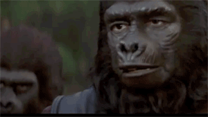 Archives Of The Apes: General Aldo