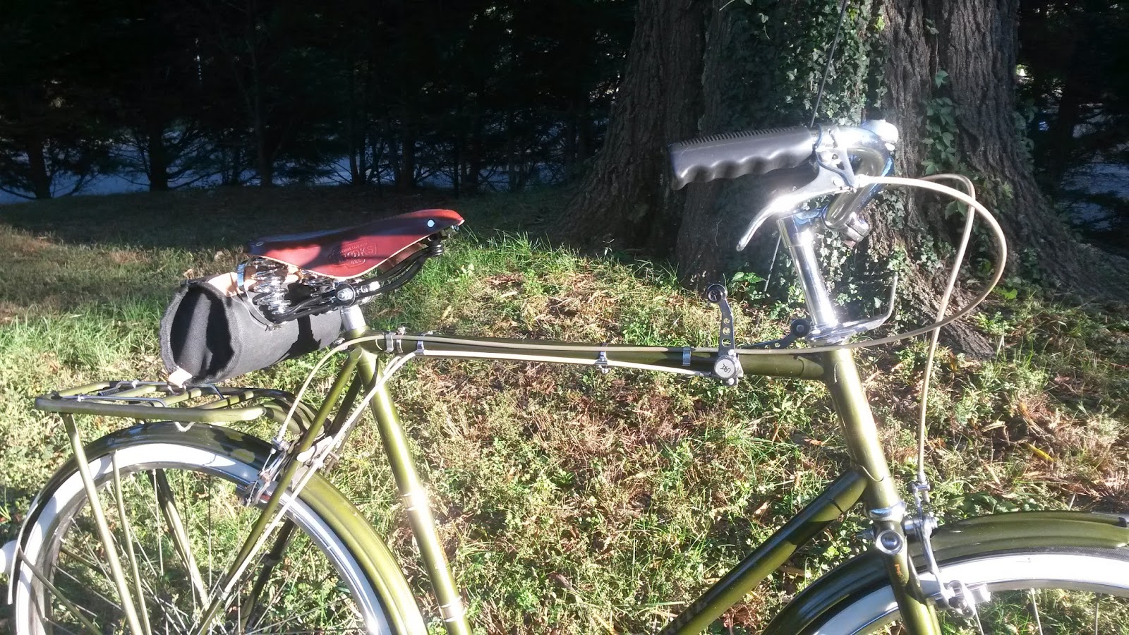 The Bike Shed: Raleigh Sprite 5 Speed