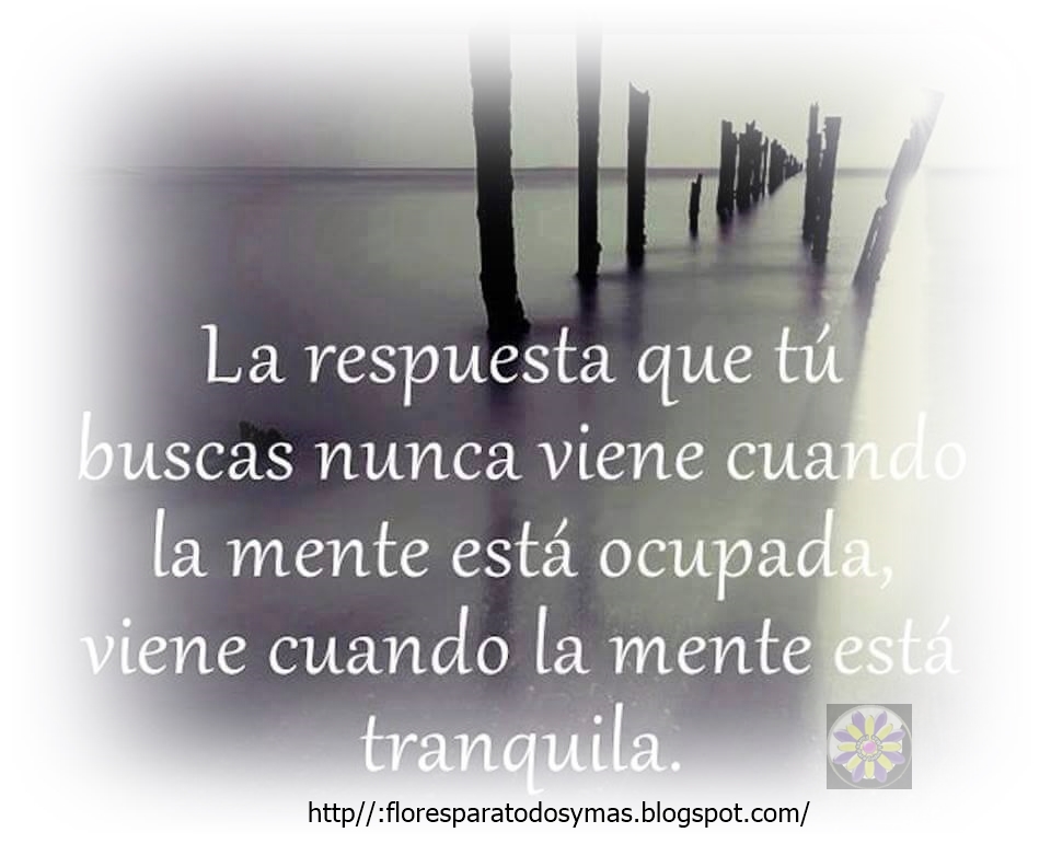 Flores Para Todos Y Mas: La respuesta que tu buscas nunca viene cuando ...