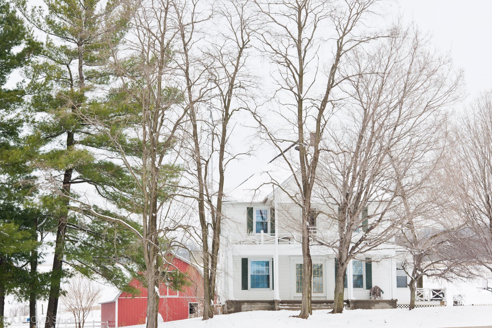 The Spotting Eye: Rural USA: Wisconsin Highway 82 (Near LaFarge, WI) #1