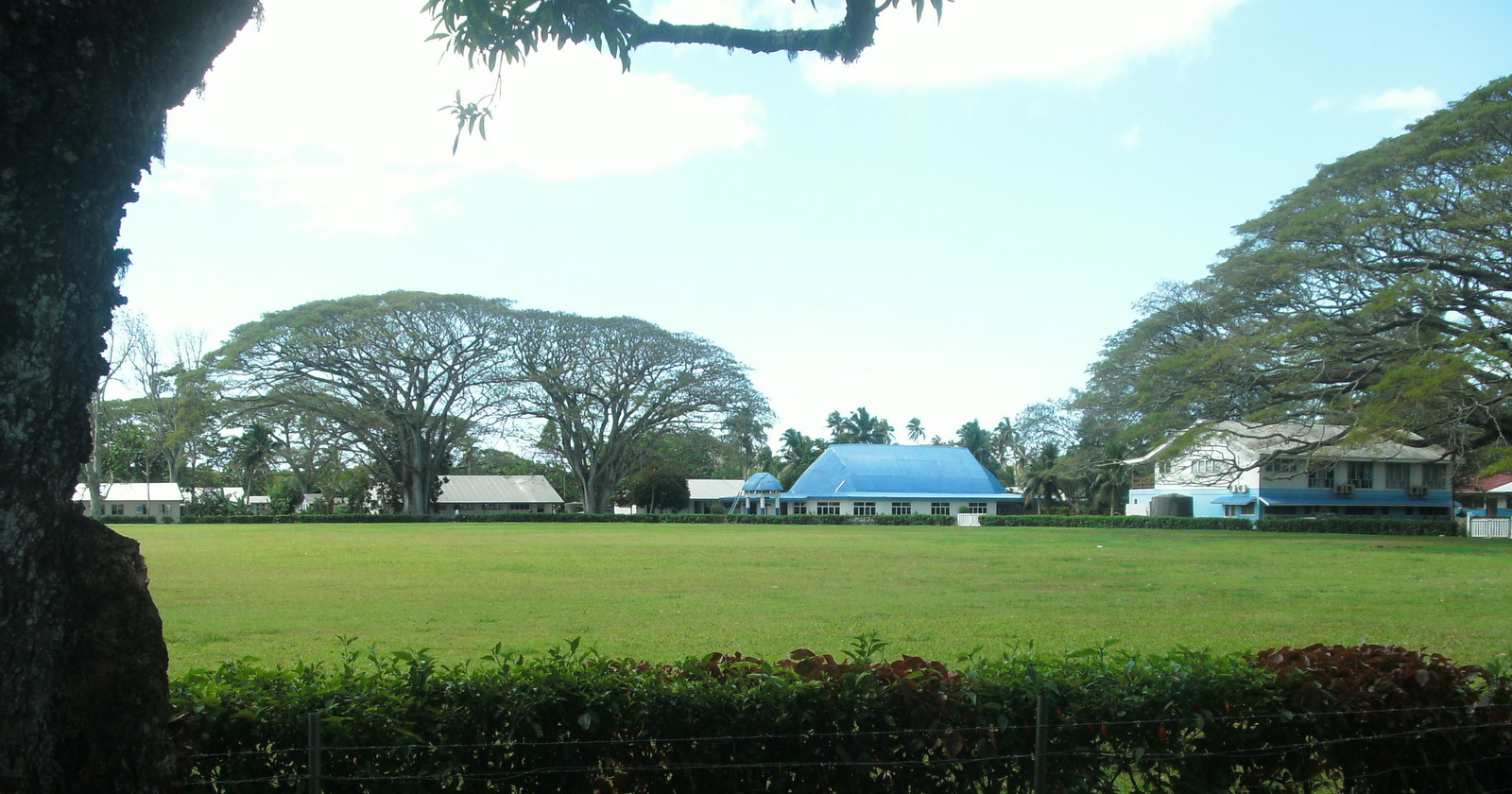 Babasiga: Tonga on a Sunday