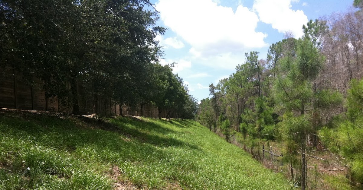 Copperleaf Golf Course Maintenance: I-75 Berm