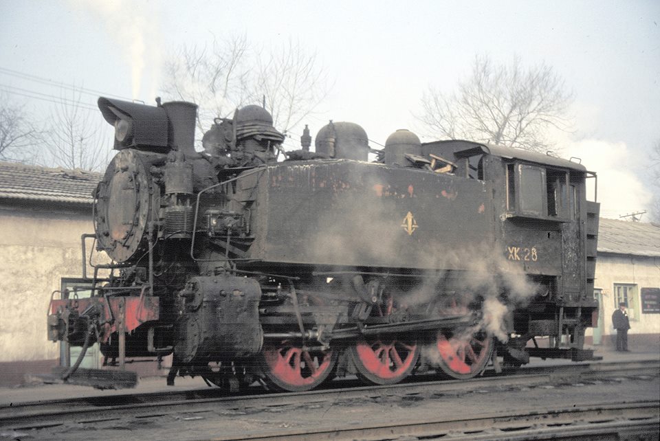 Rail Thing - Friends of the S&D: A brace of STEAM for Shillingstone!