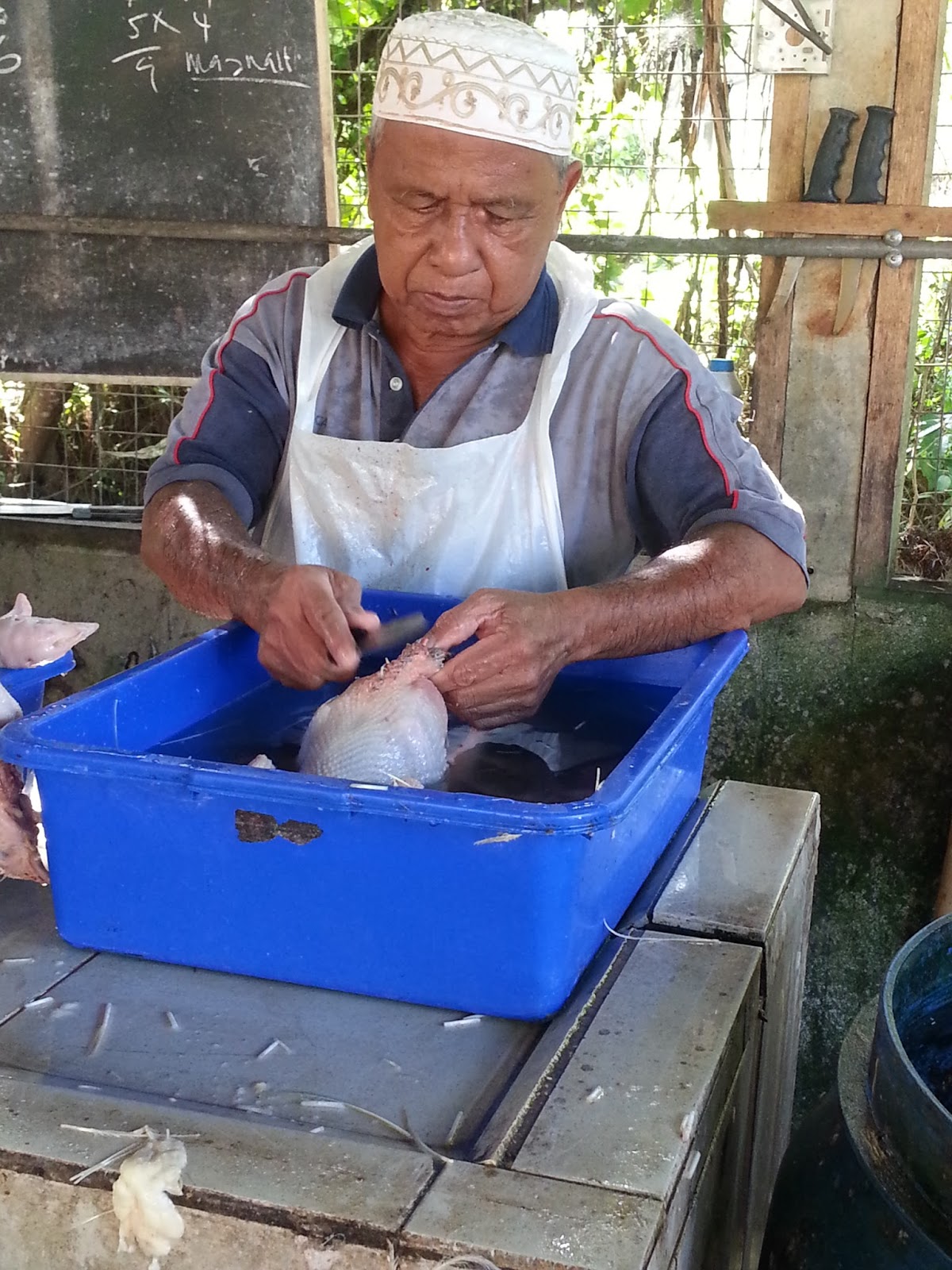 KHAIREZ AGROFARM ENTERPRISE: PROSES ayam kampung