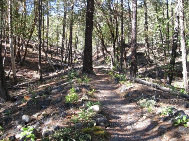 Hiking Sasquatch Country: 13 Gin Lin Mining Trail