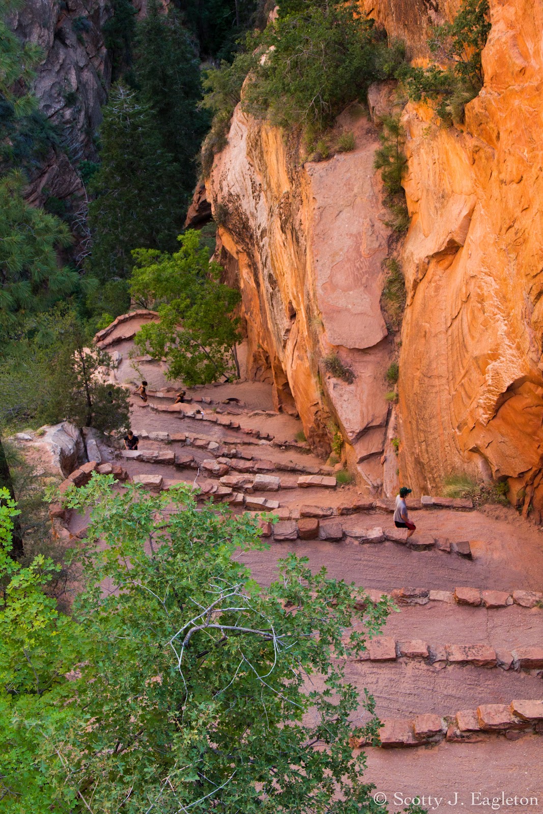 Zion: Angels Landing | Adventures with Scotty & Sarah
