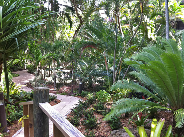 La Botánica ~ ~* Jardin Botanico