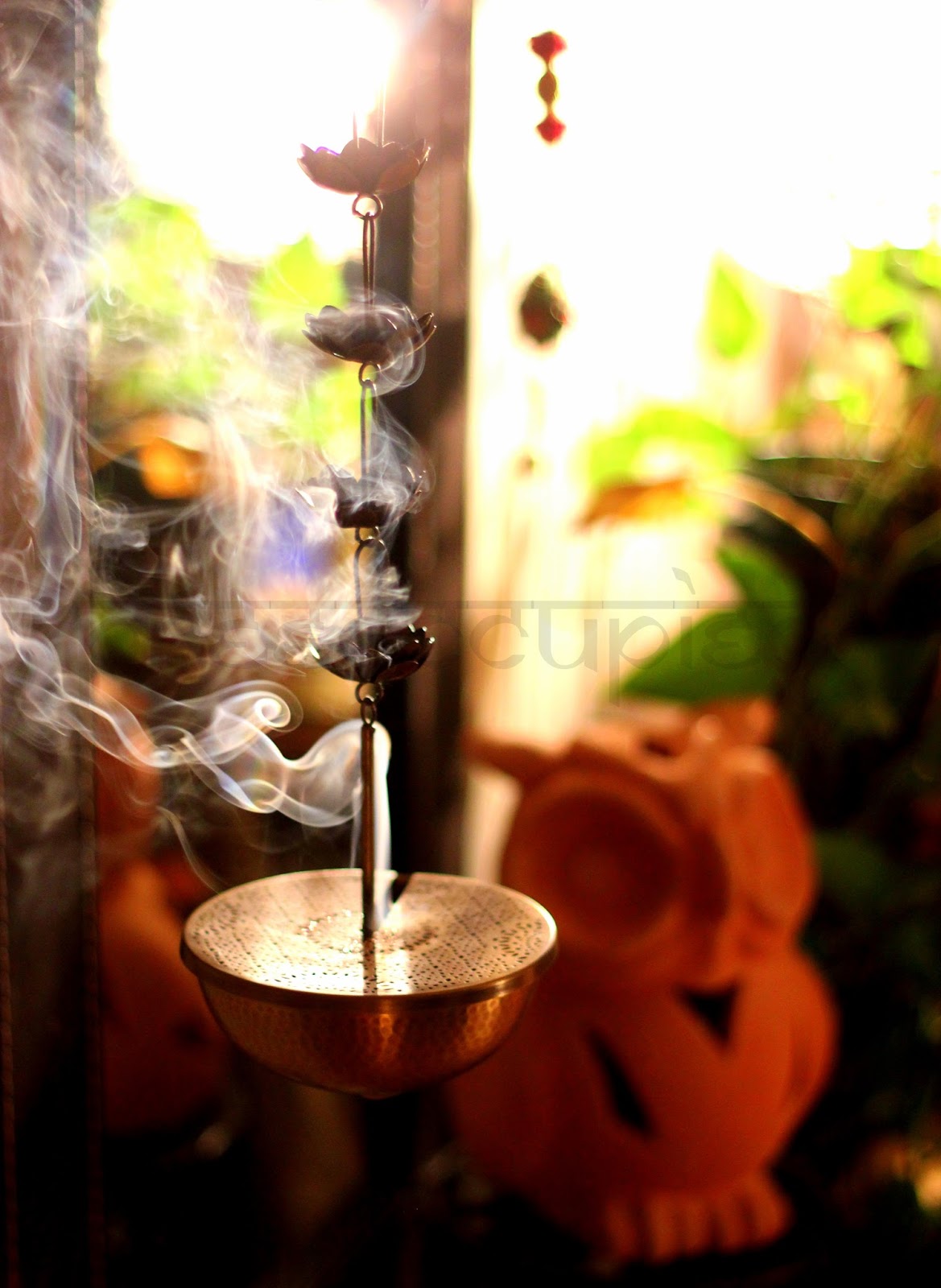 PreeOccupied: Color my Walls "Gerua"