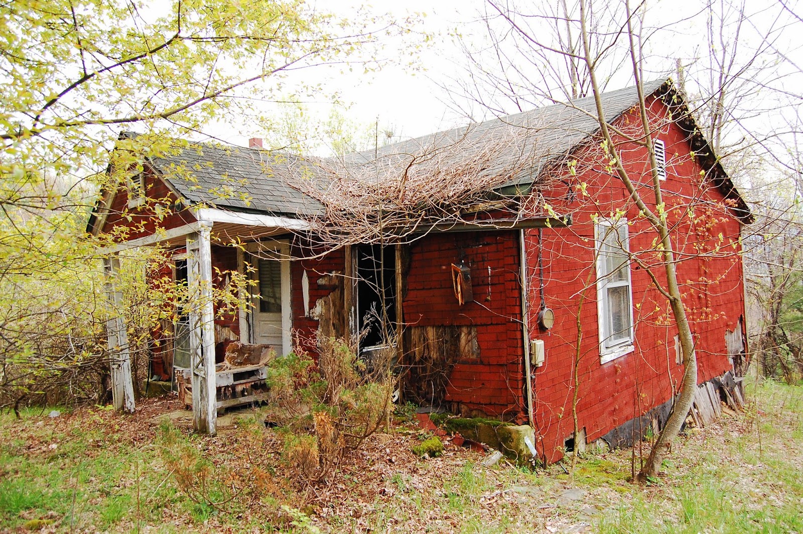 The Luthier's Apprentice: E.C. Ball