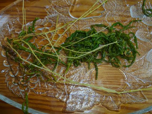 Meine Rezeptwelt: Queller Salat- Deniz börülcesi salatasi